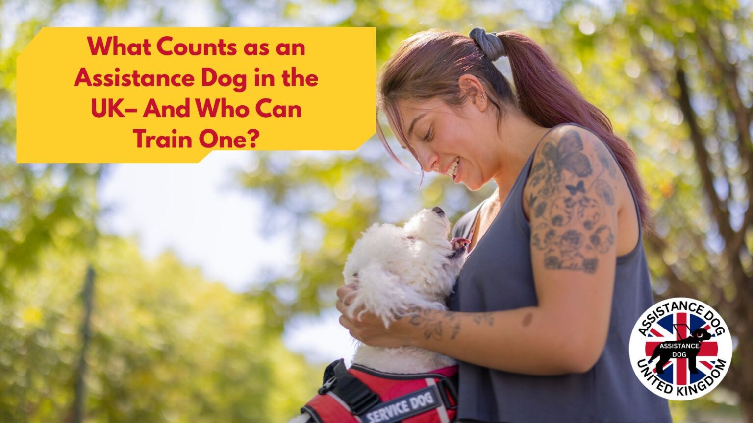 A Guide to the UK’s Assistance Dog Laws and Regulations | Assistance ...