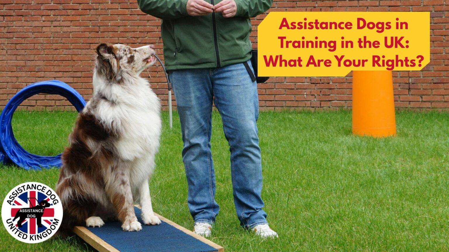 assistance dog, assistance dog registration, assistance dog UK law ...